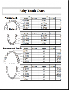 tooth shed table | Word & Excel Templates