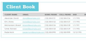 Client Database Template for MS Excel | Download & Save
