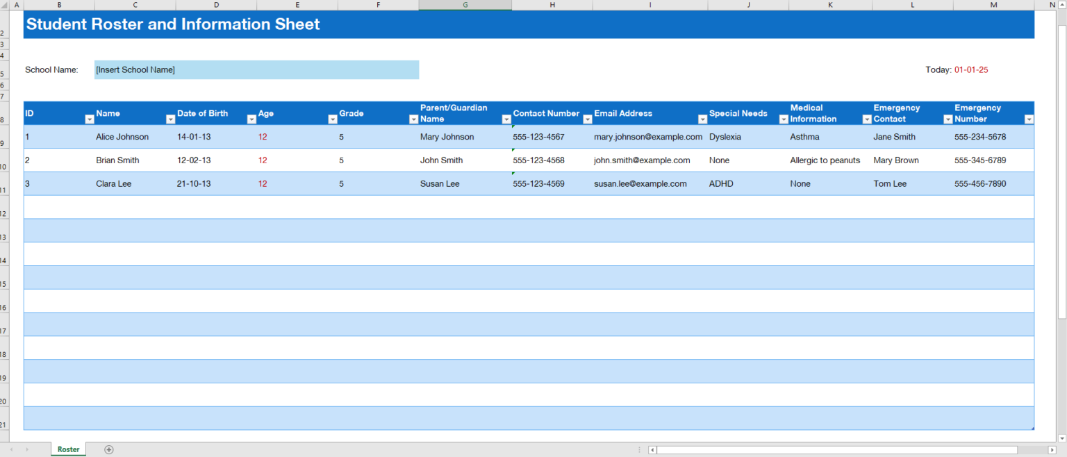 Student Roster and Information Sheet Template | Download